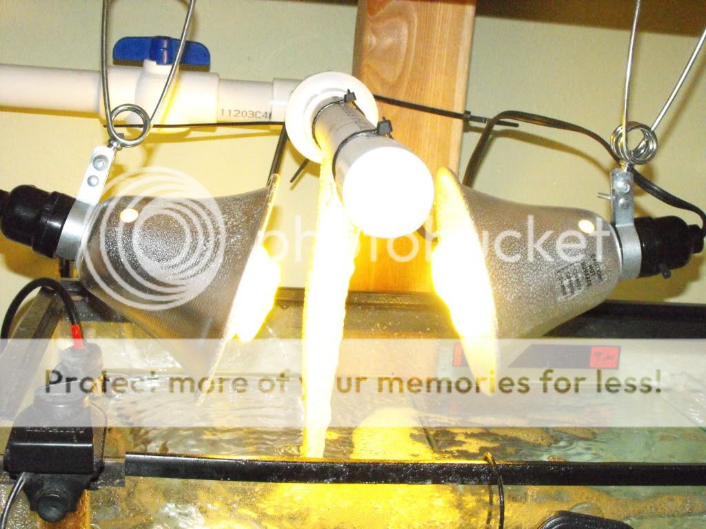 Algae Scraper Diy at Elma Thomas blog